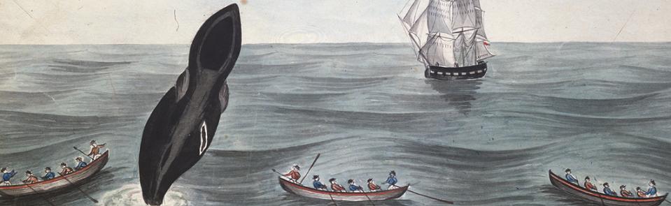 Colonial America Research | Smore Newsletters