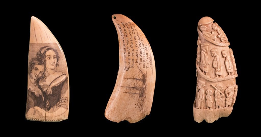 Scrimshaw - New Bedford Whaling Museum