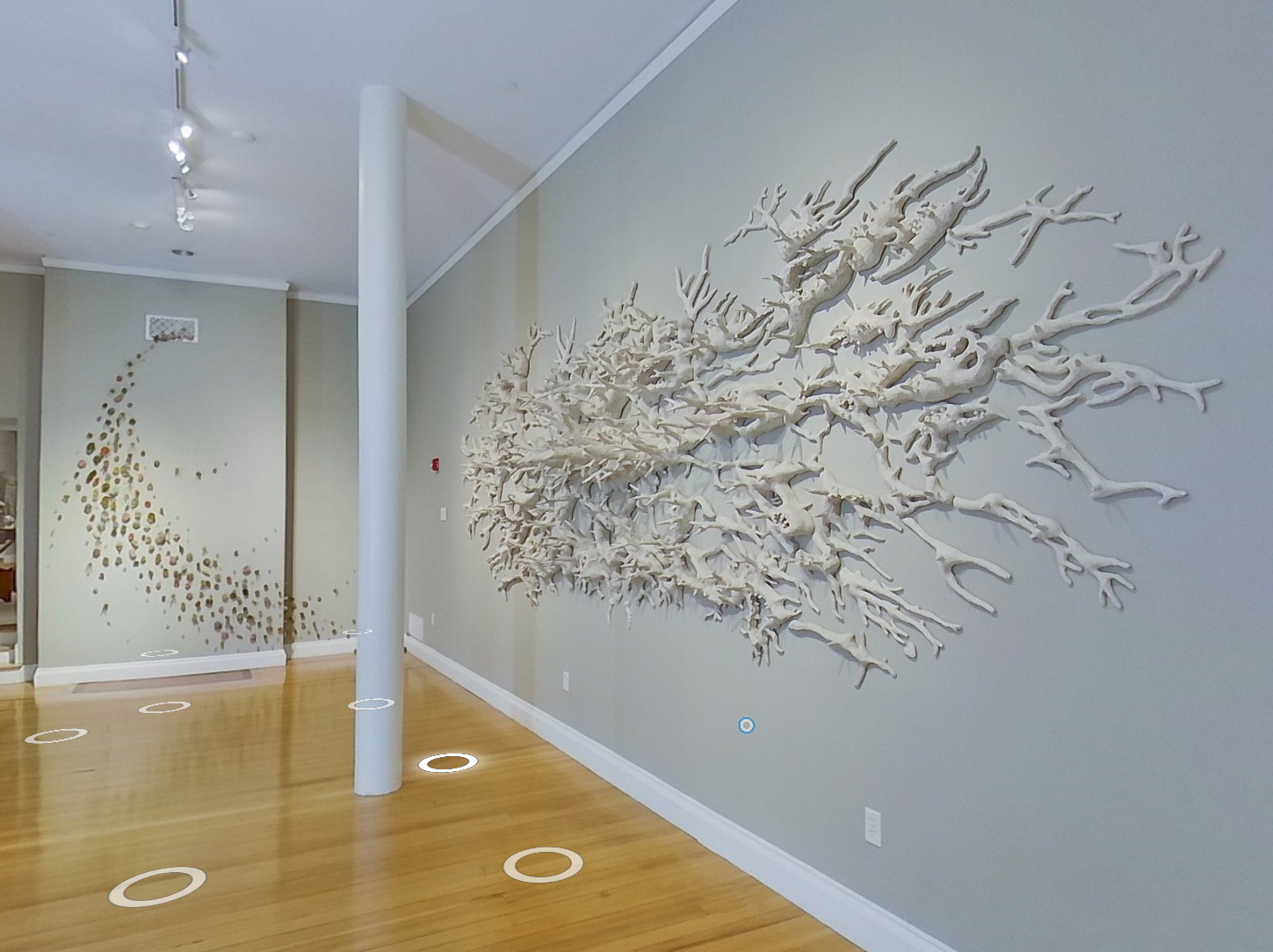 » Turn the Tide: Courtney Mattison