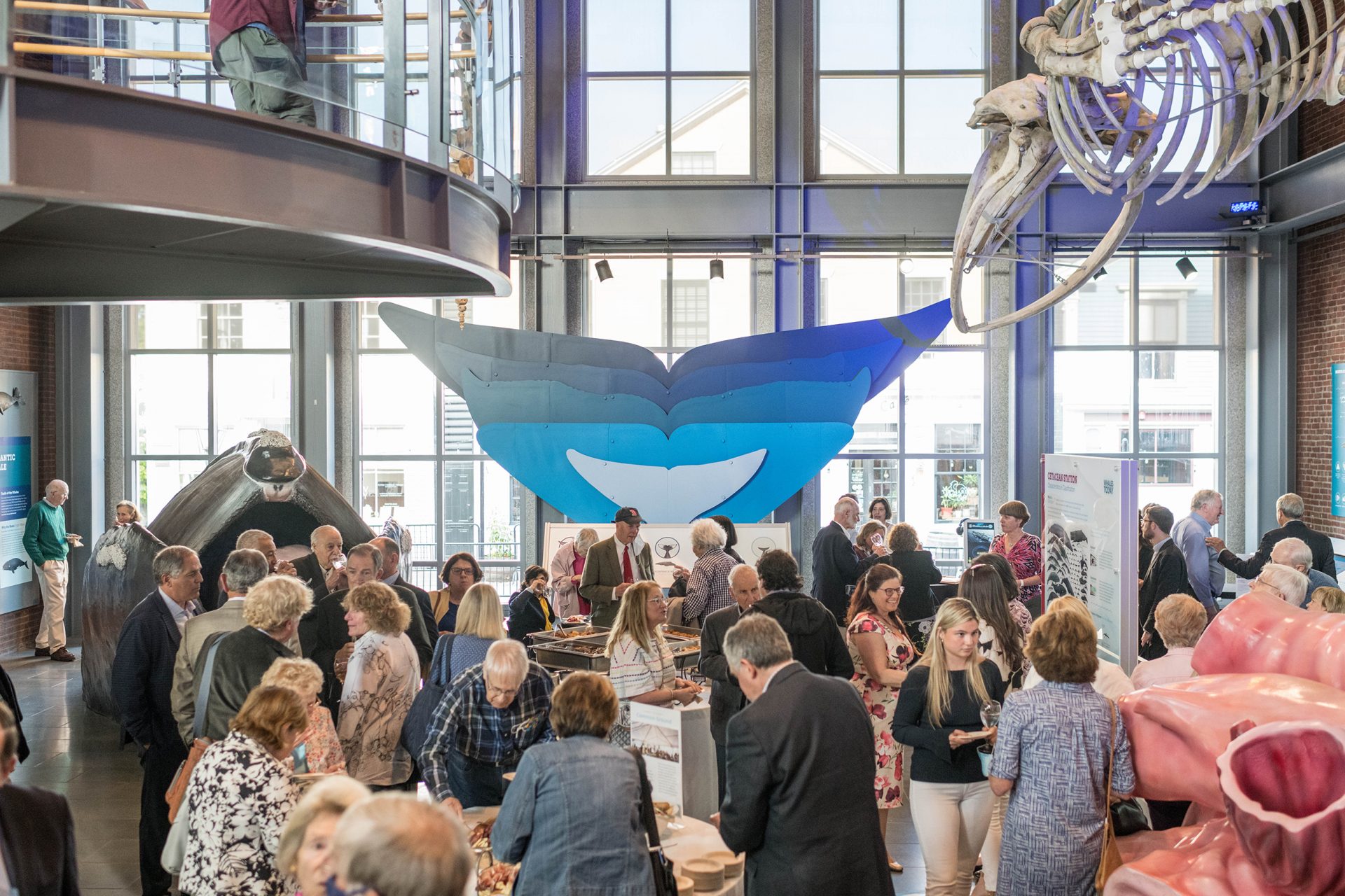 Upcoming - New Bedford Whaling Museum