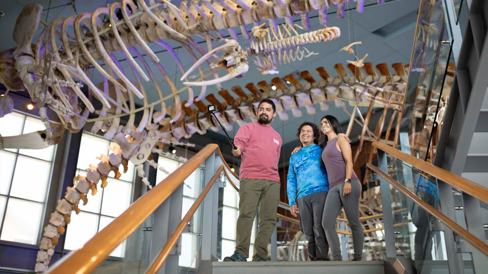 Upload Photos of your Visit to the New Bedford Whaling Museum - New ...