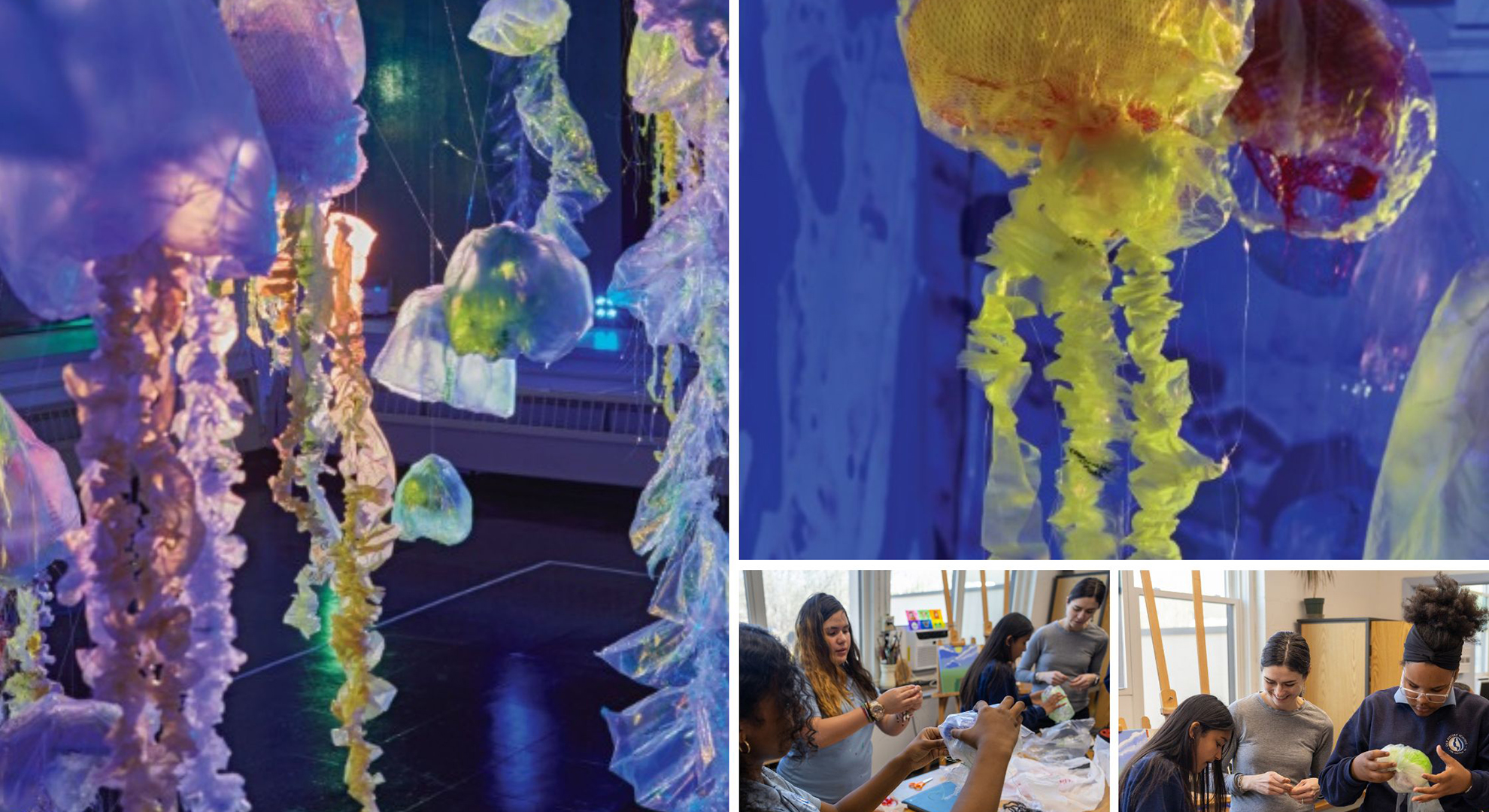 Community BLOOMS: Katy Rodden Walker - New Bedford Whaling Museum