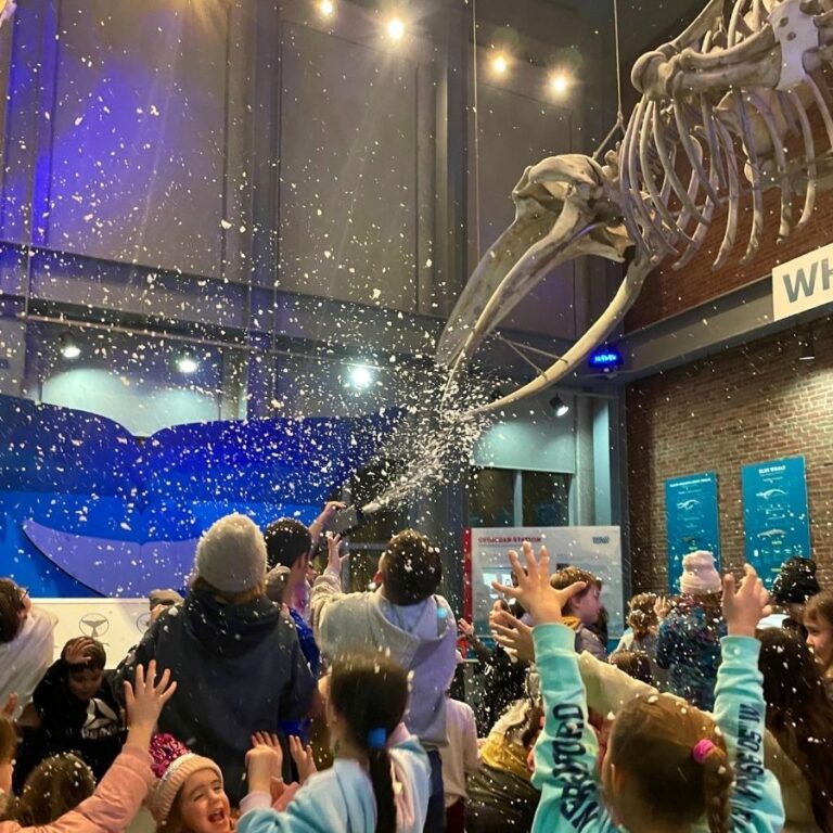 Home - New Bedford Whaling Museum