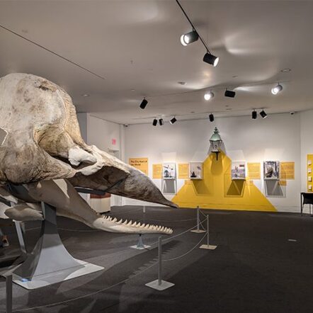 Permanent Galleries - New Bedford Whaling Museum